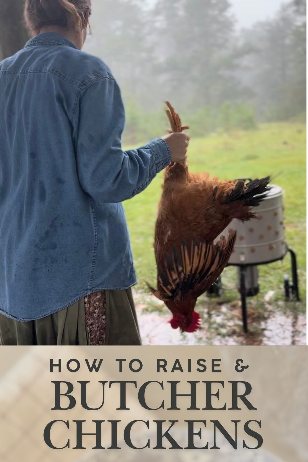 Raising Meat Chickens: A Rewarding Endeavor - Hardmead Farm