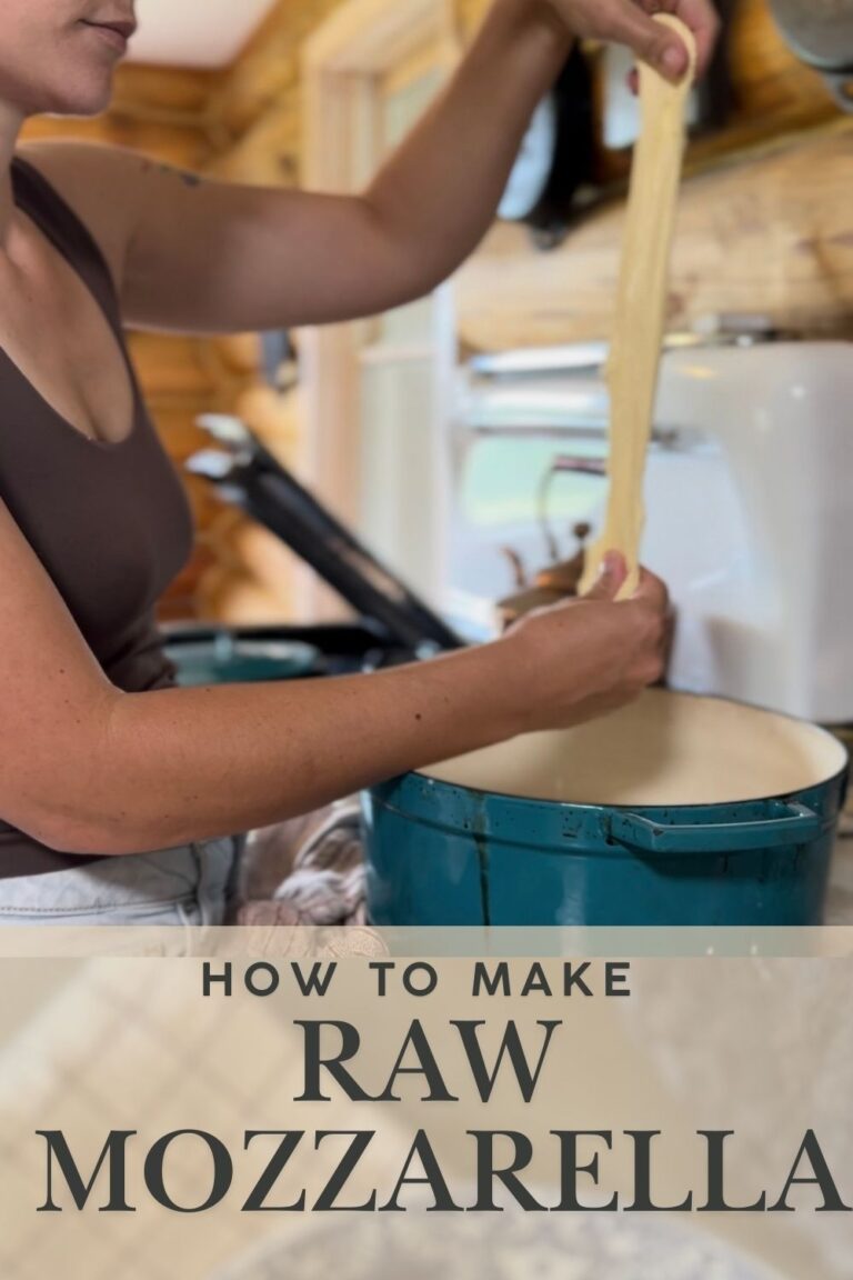 Raw Milk Mozzarella Recipe: Easy Homemade Cheese in 45 Minutes ...