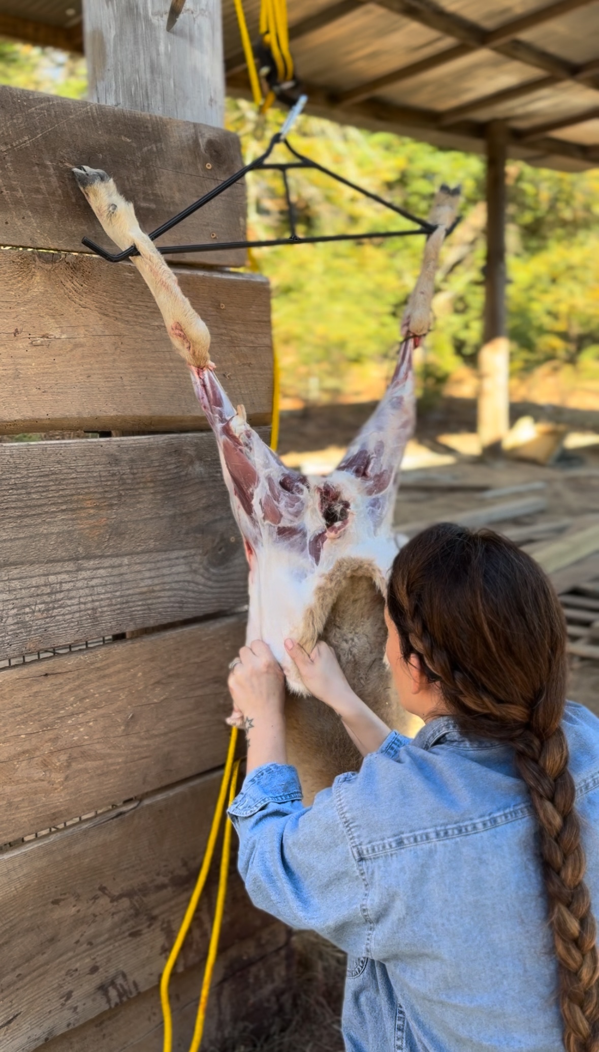 How to Butcher A Lamb at Home: From Carcass to Cuts - Hardmead Farm