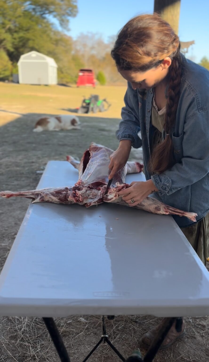 How to Butcher A Lamb at Home: From Carcass to Cuts - Hardmead Farm